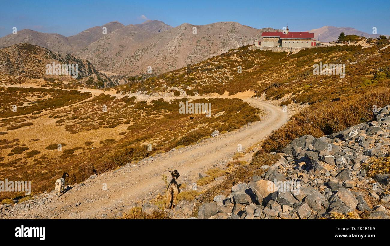 Kallergi hut, Machia, mountain hut, red tile roof, slope, goats ...