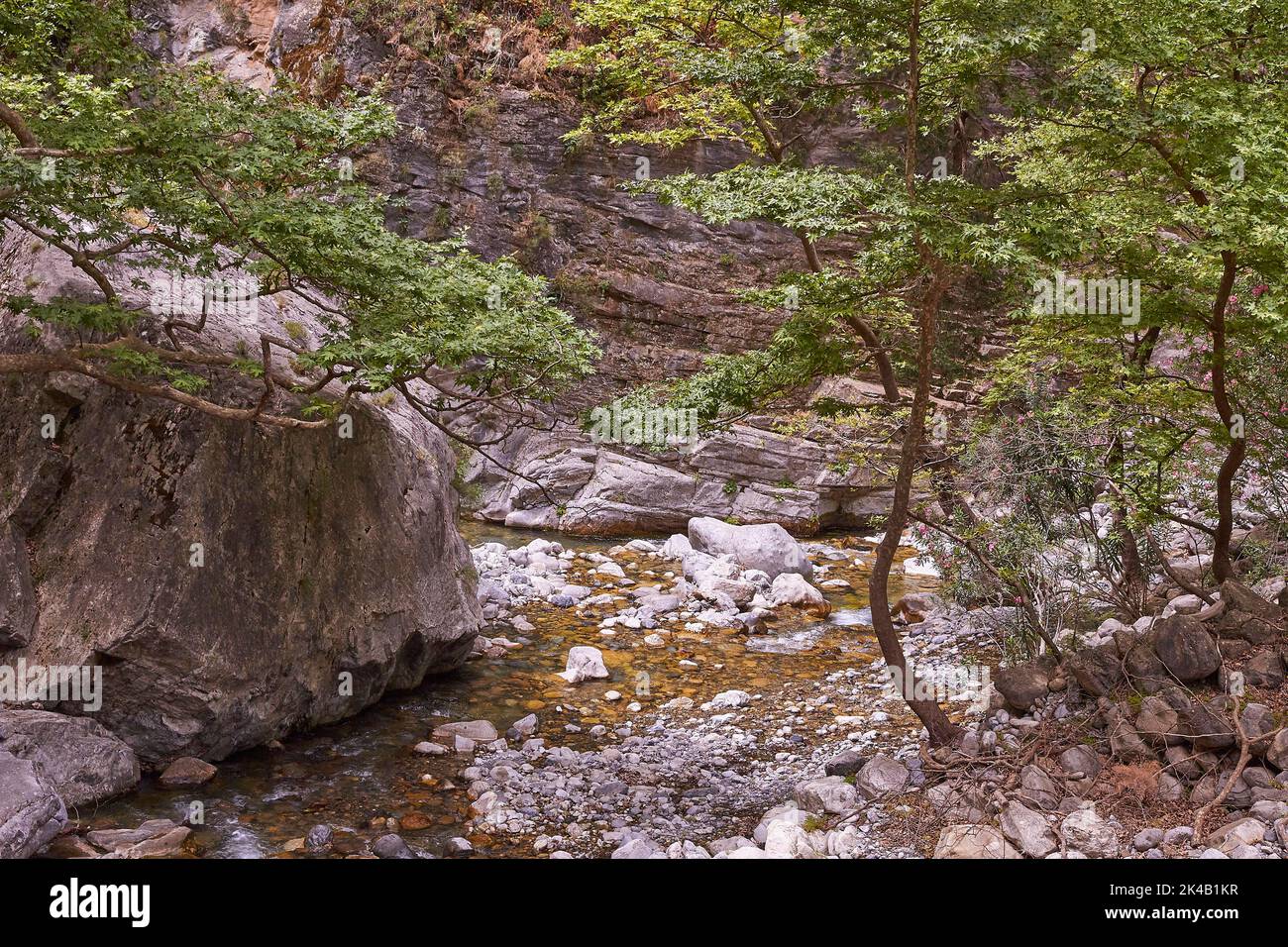 Stream, Rocks, Trees Shrubs, Samaria Gorge, Omalos, Lefka Ori, White ...