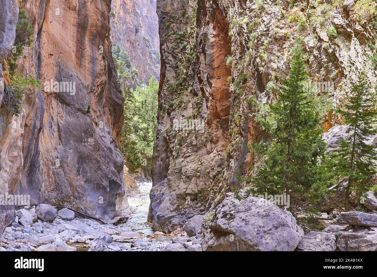 Narrows, Iron Gate, Gorge walls, Trees, Rocks, Samaria Gorge, Omalos ...