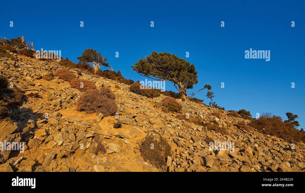 Gorge entrance, Entrance, Xyloskalo, Samaria Gorge, Omalos, Lefka Ori ...