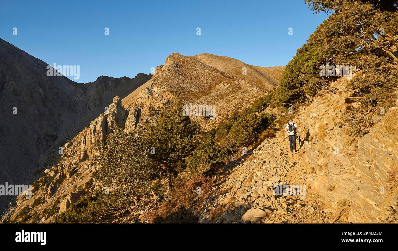 Hikers on hiking trail, Gingilos, hiking on the Gingilos, morning light ...