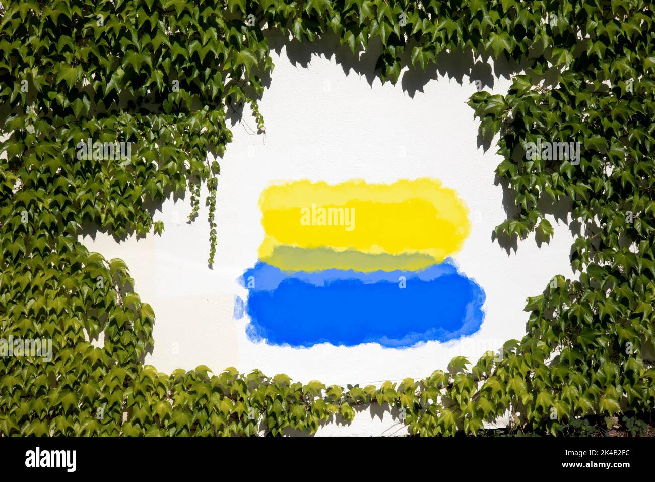A white wall painted with the Ukrainian national colours and surrounded ...