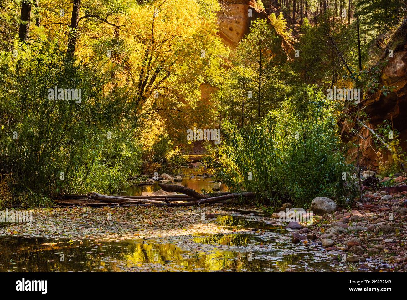 Oak Creek Canyon during the fall in Sedona, Arizona, United States ...