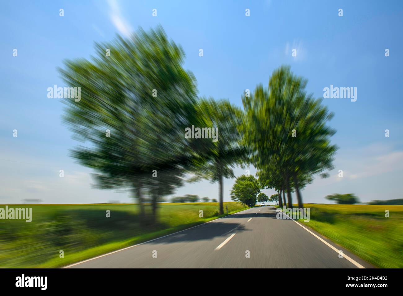 Dynamic photo with speed effect of driving on country road avenue with ...
