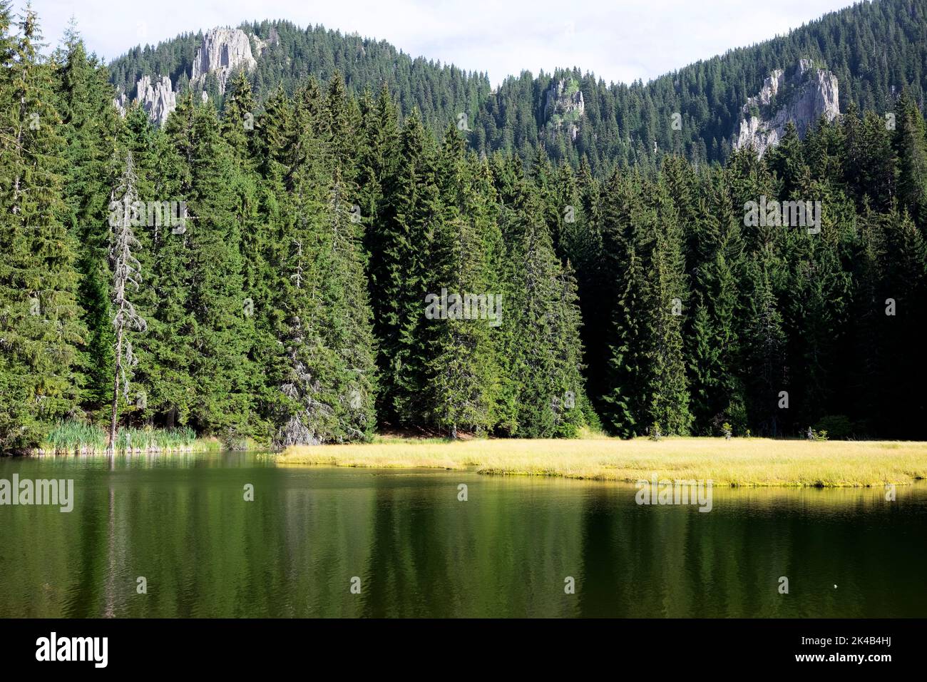Smolyan Lakes lie on the left slope of the valley of Cherna River and ...