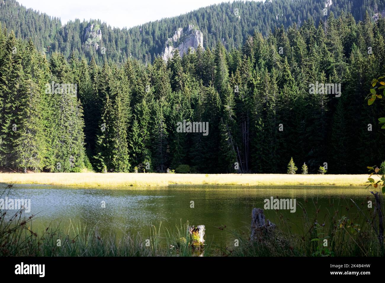 Smolyan Lakes lie on the left slope of the valley of Cherna River and ...