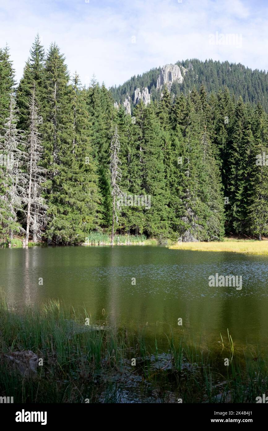 Smolyan Lakes lie on the left slope of the valley of Cherna River and ...
