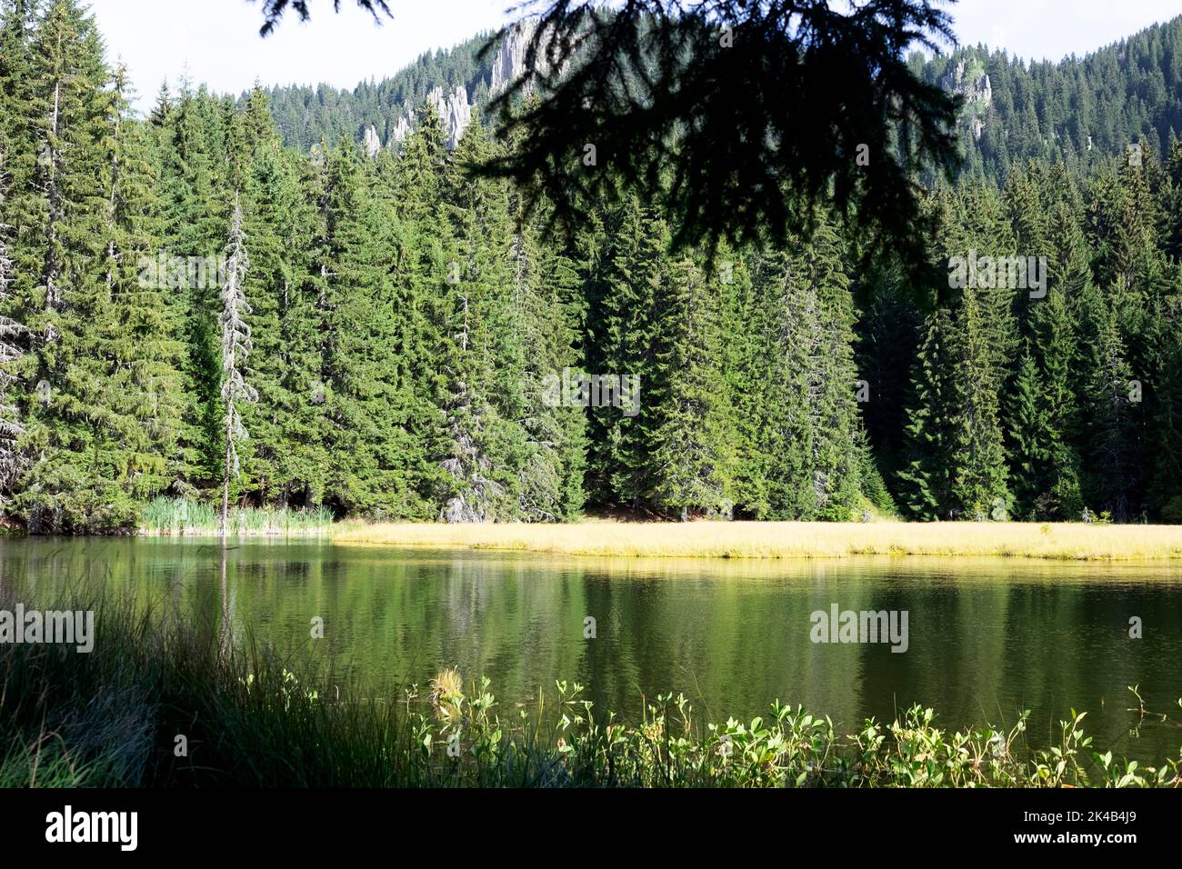 Smolyan Lakes lie on the left slope of the valley of Cherna River and ...
