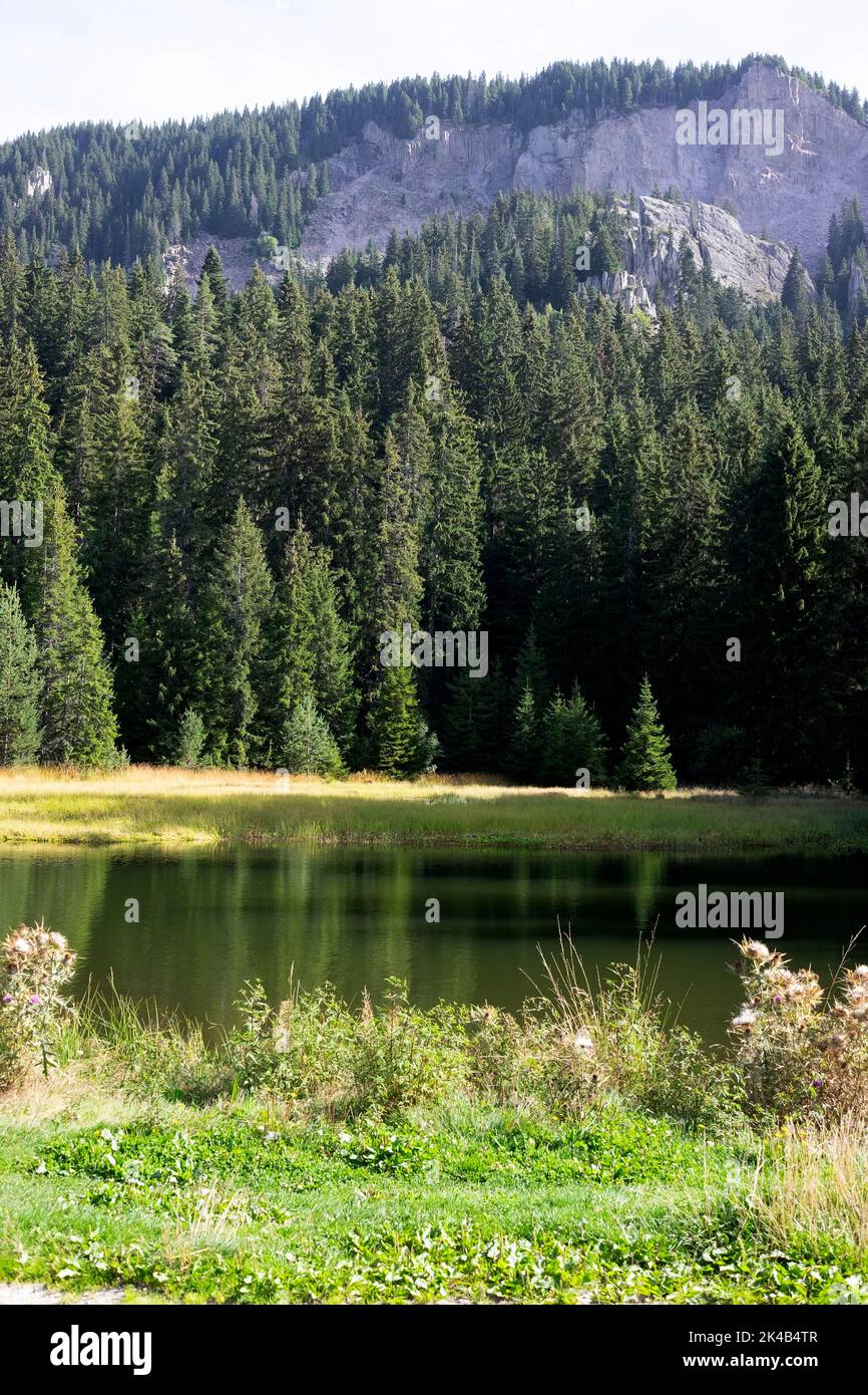 319 foot 1926 meter snejanka peak hi-res stock photography and images ...