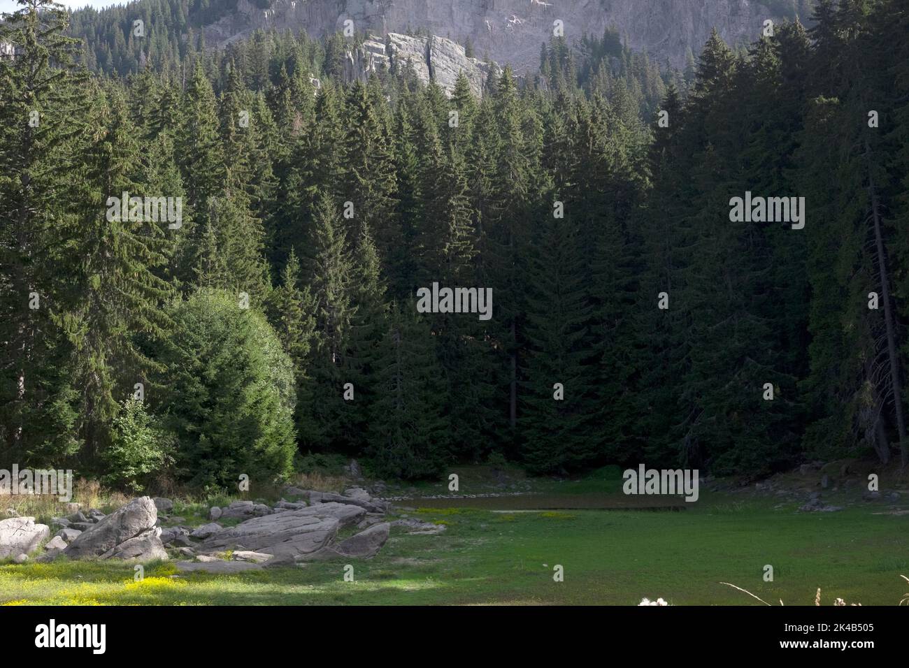 Smolyan Lakes lie on the left slope of the valley of Cherna River and ...