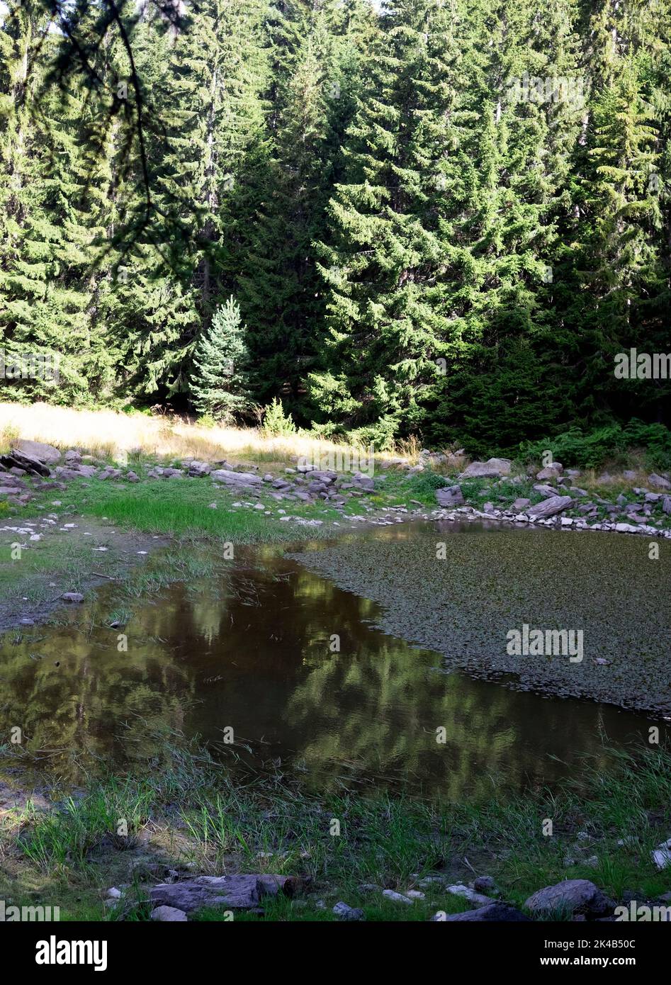 Smolyan Lakes lie on the left slope of the valley of Cherna River and ...