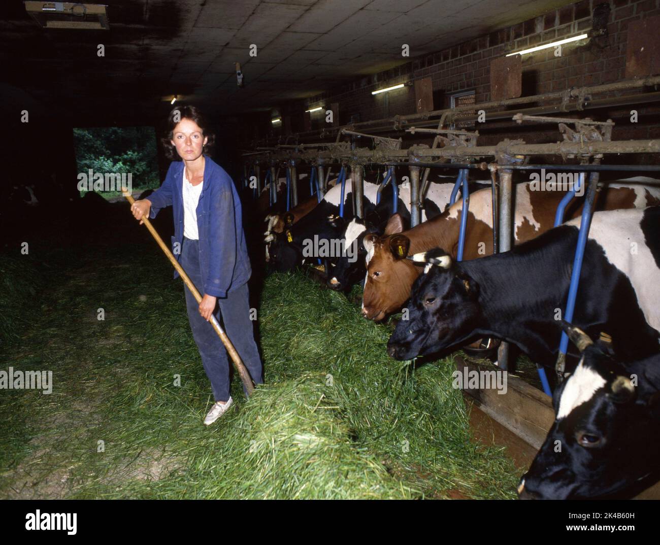 Wages. Farmer. Builder and mother. on 14. 7. 1988 Stock Photo - Alamy