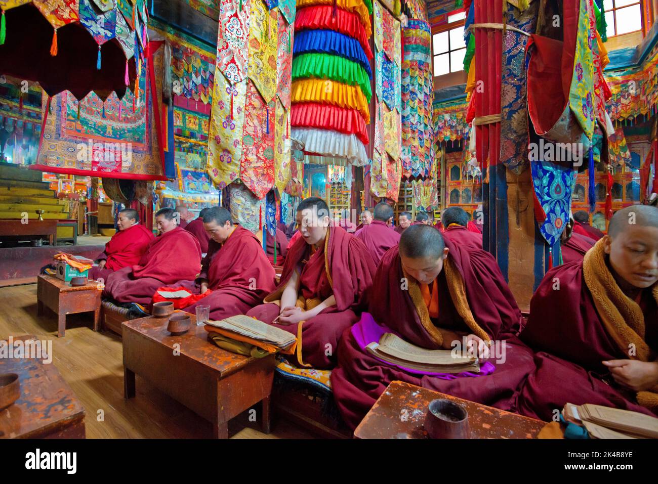 Buddhist nuns during a recitation in Terdom Monastery, Tidro Gompa ...