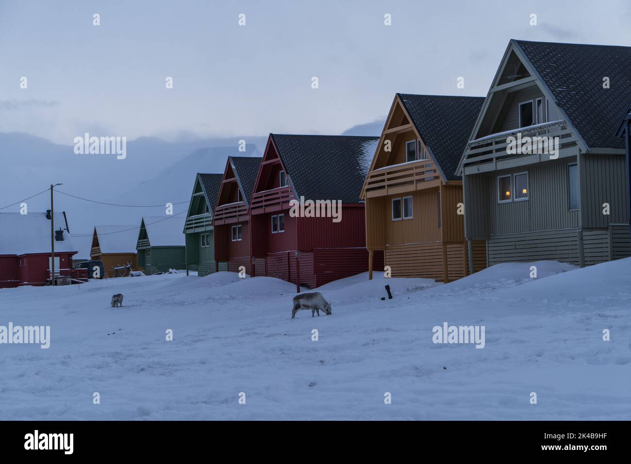 Raised house polar hi-res stock photography and images - Alamy