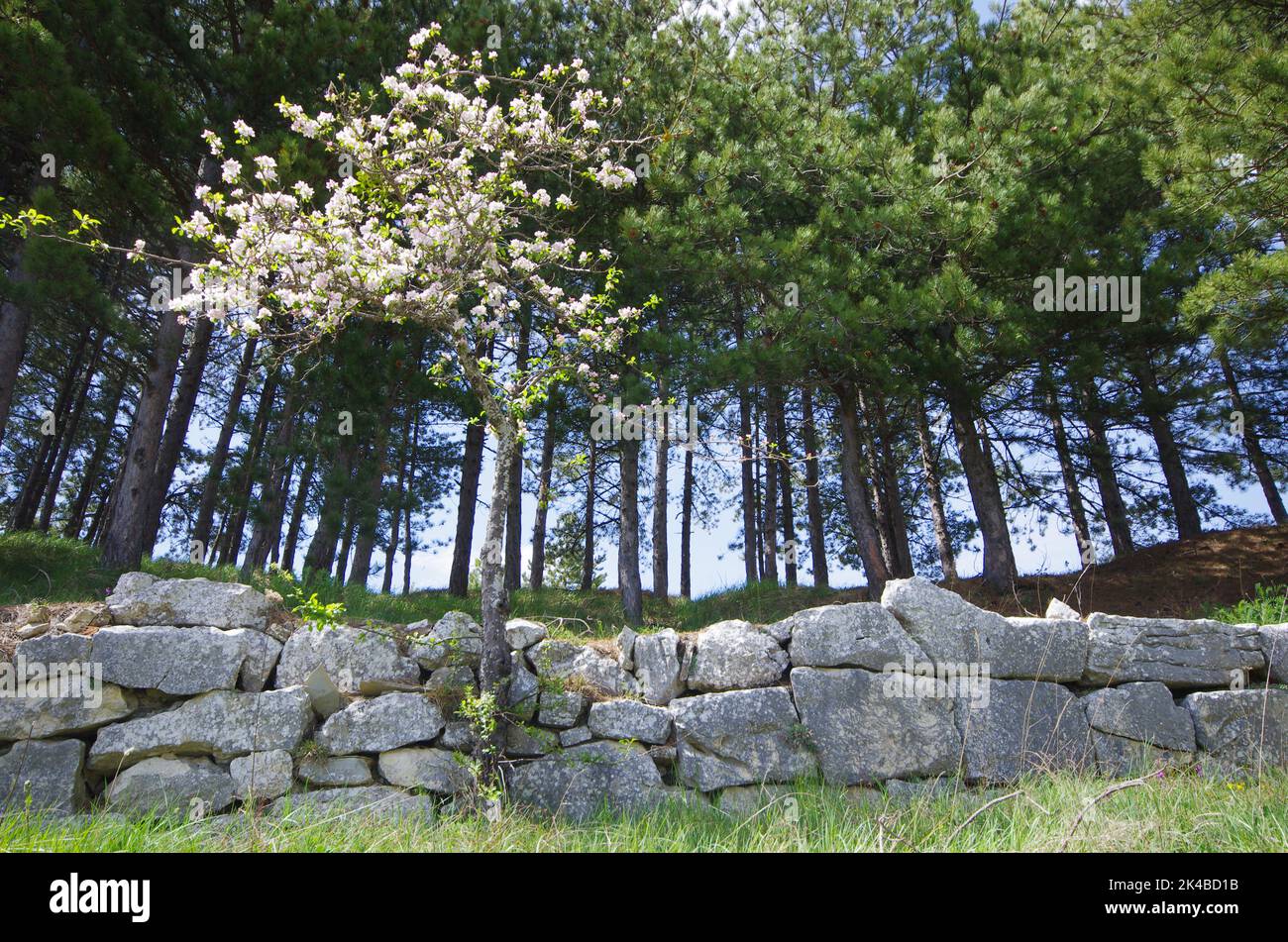 Huge limestone blocks that fortified the entire area of the ...
