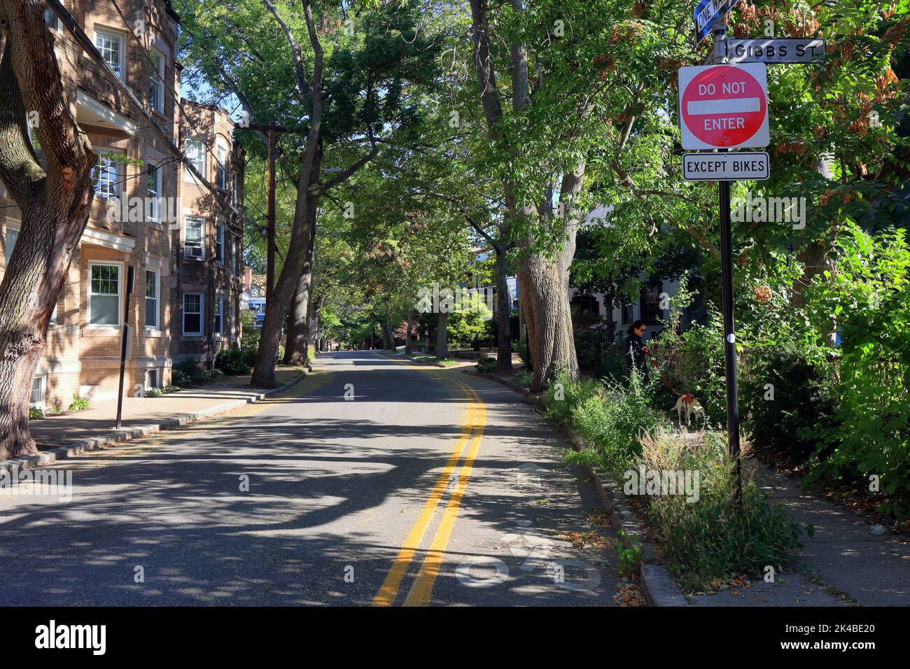 A contra flow bike lane on Fuller St, a one-way traffic street located ...