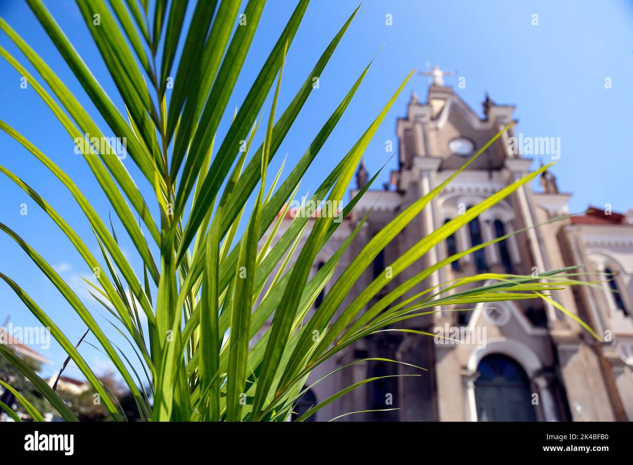 Holy Week. Branches raised in front of the cathedral church ...