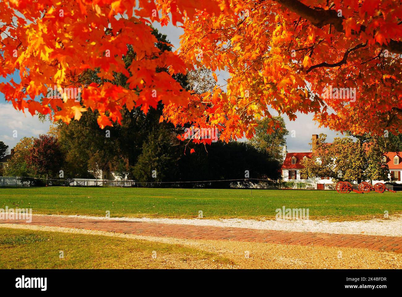 A brilliant autumn maple trees gives a fall orange color to Colonial ...