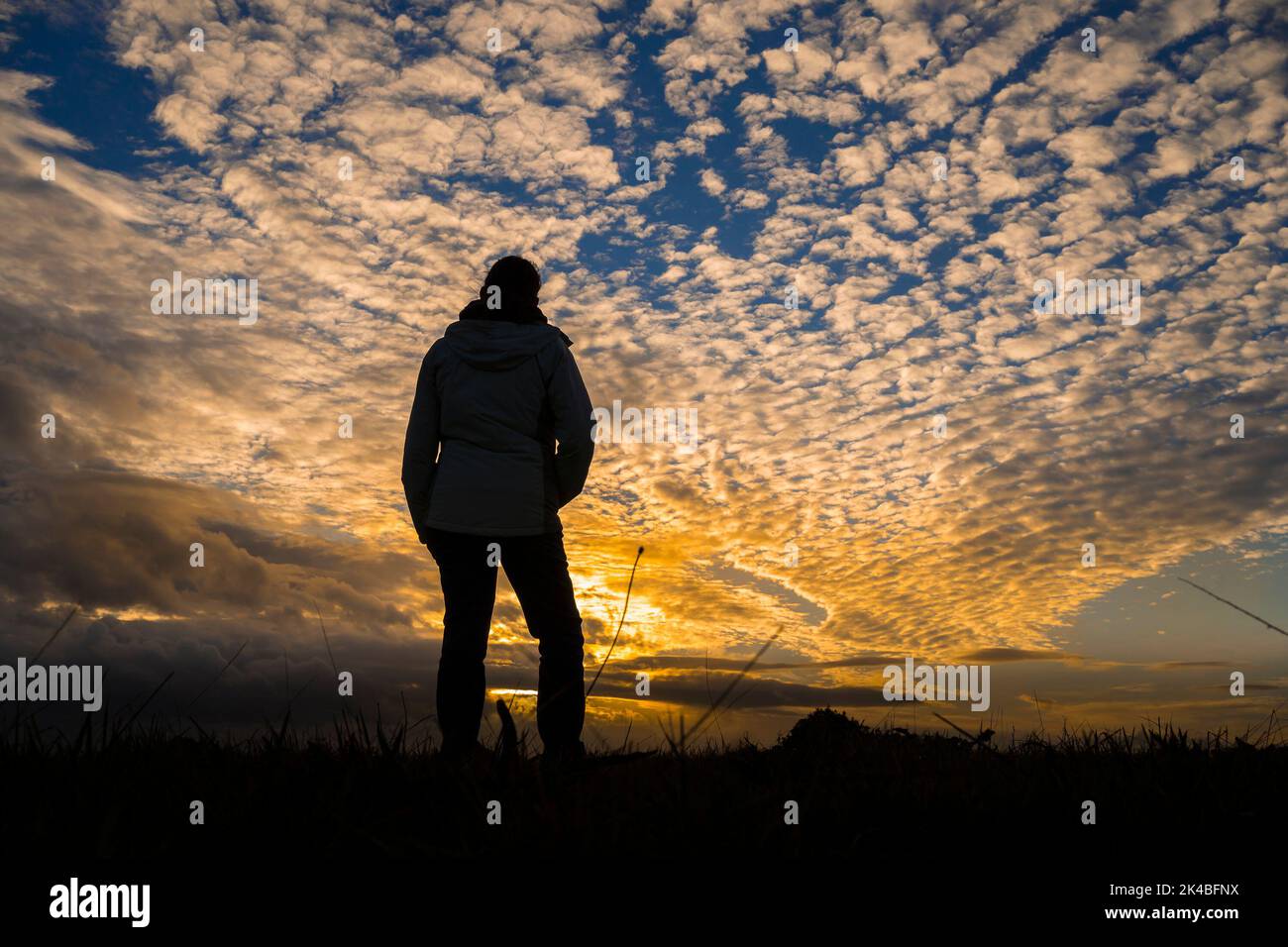 Panoramic sunset altocumulus clouds in hi-res stock photography and ...