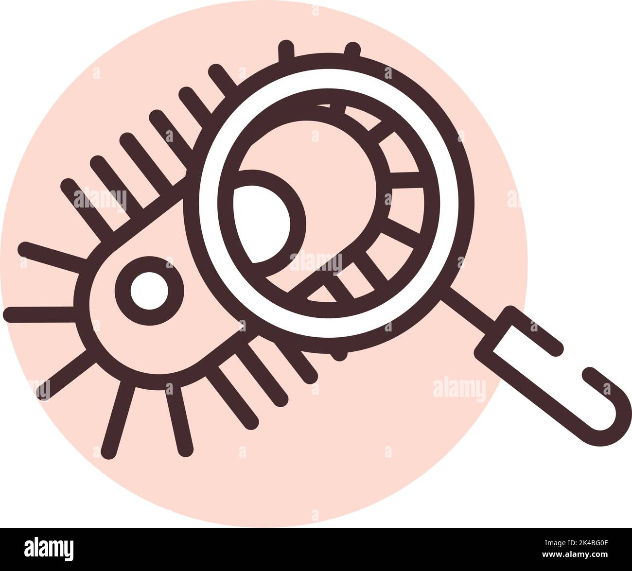 Biochemistry bactery exam, illustration, vector on white background ...