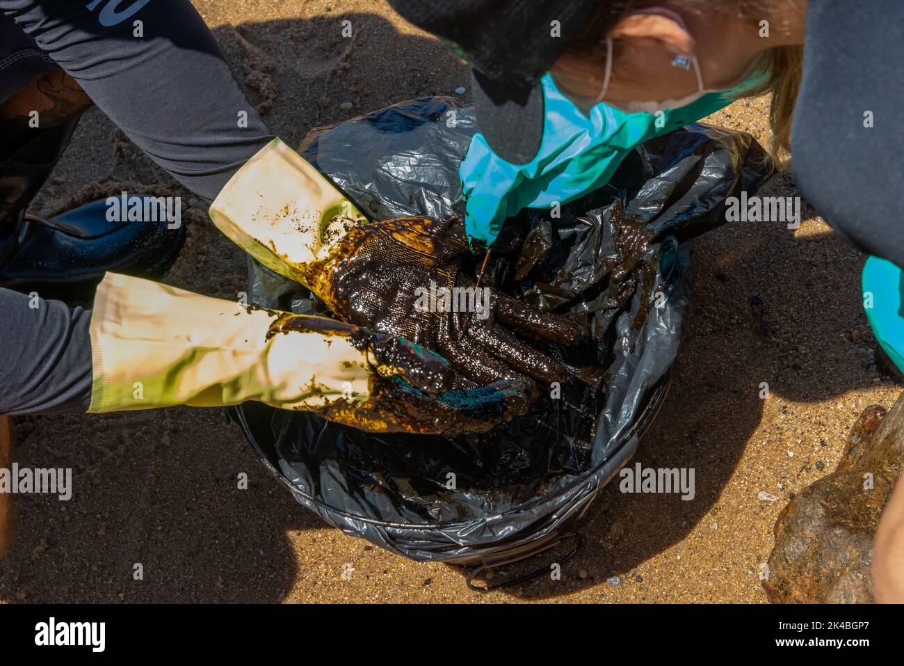Volunteers clean up oil at Rio Vermelho beach in the city of Salvador ...