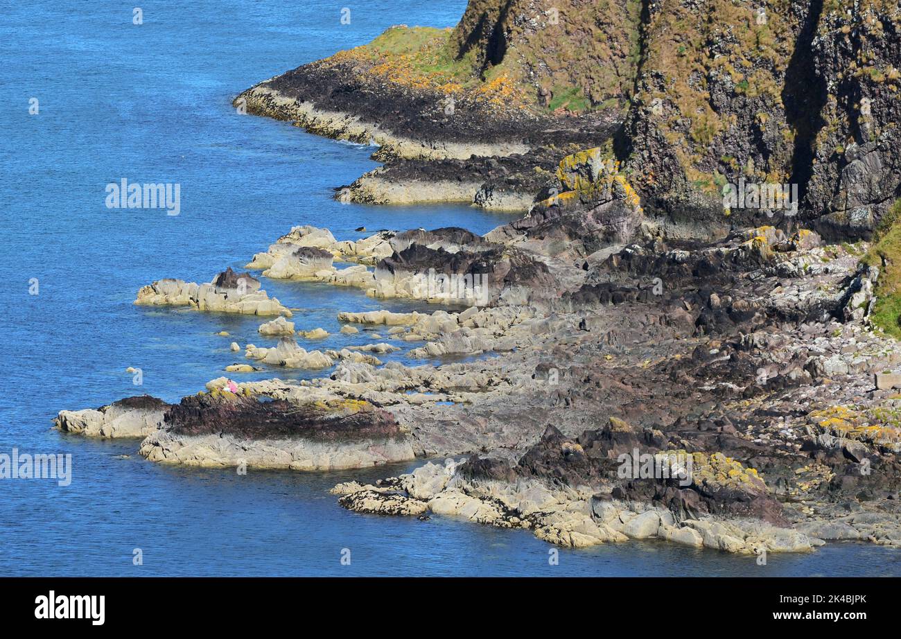 Sea cliffs along the coastal path for Dunottar Castle, Stonehaven ...