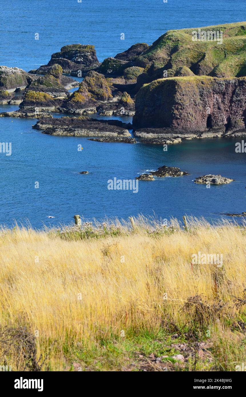 Sea cliffs along the coastal path for Dunottar Castle, Stonehaven ...