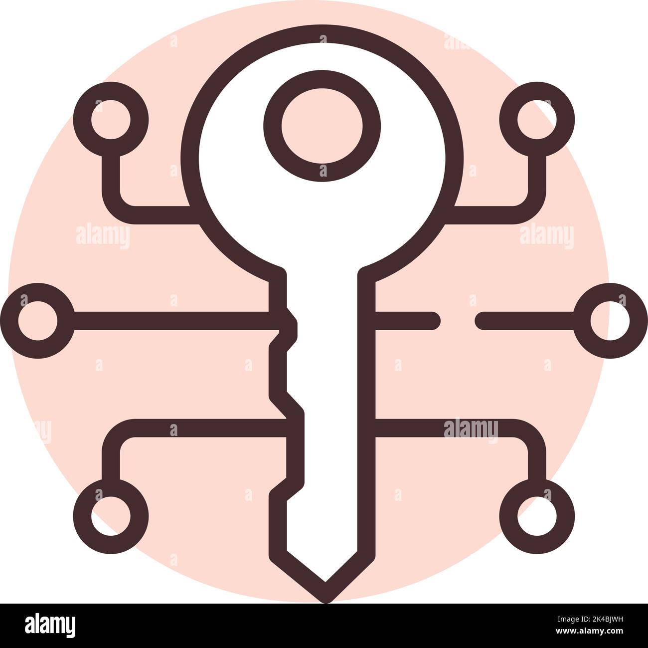 Cyber security secure key, illustration, vector on white background ...