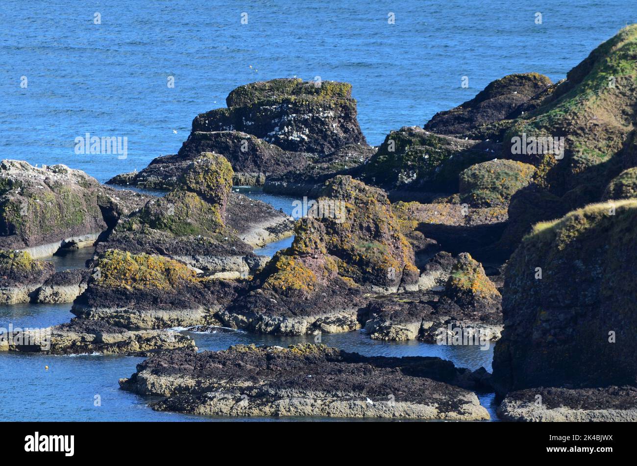 Sea cliffs along the coastal path for Dunottar Castle, Stonehaven ...