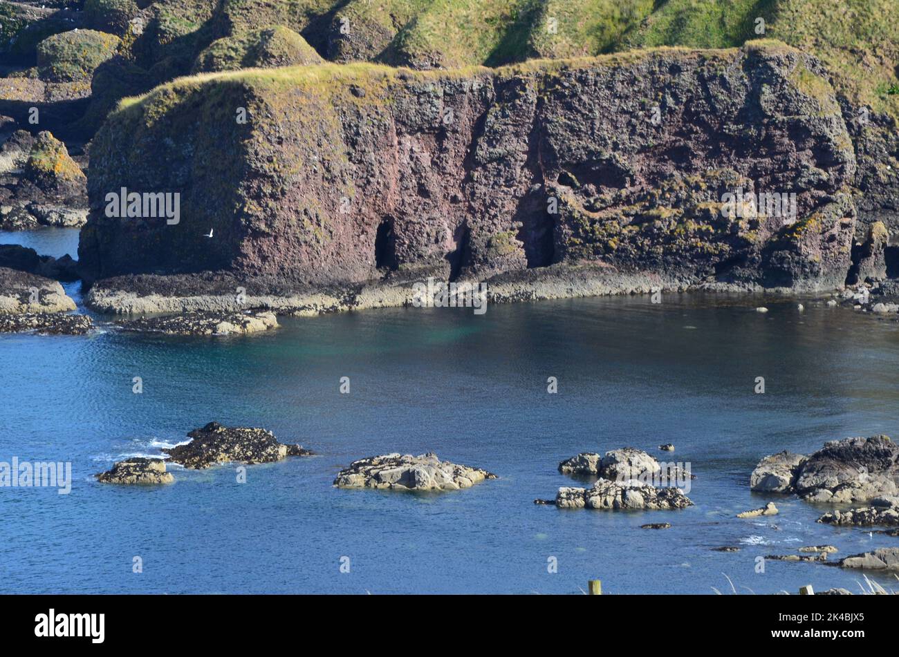 Sea cliffs along the coastal path for Dunottar Castle, Stonehaven ...