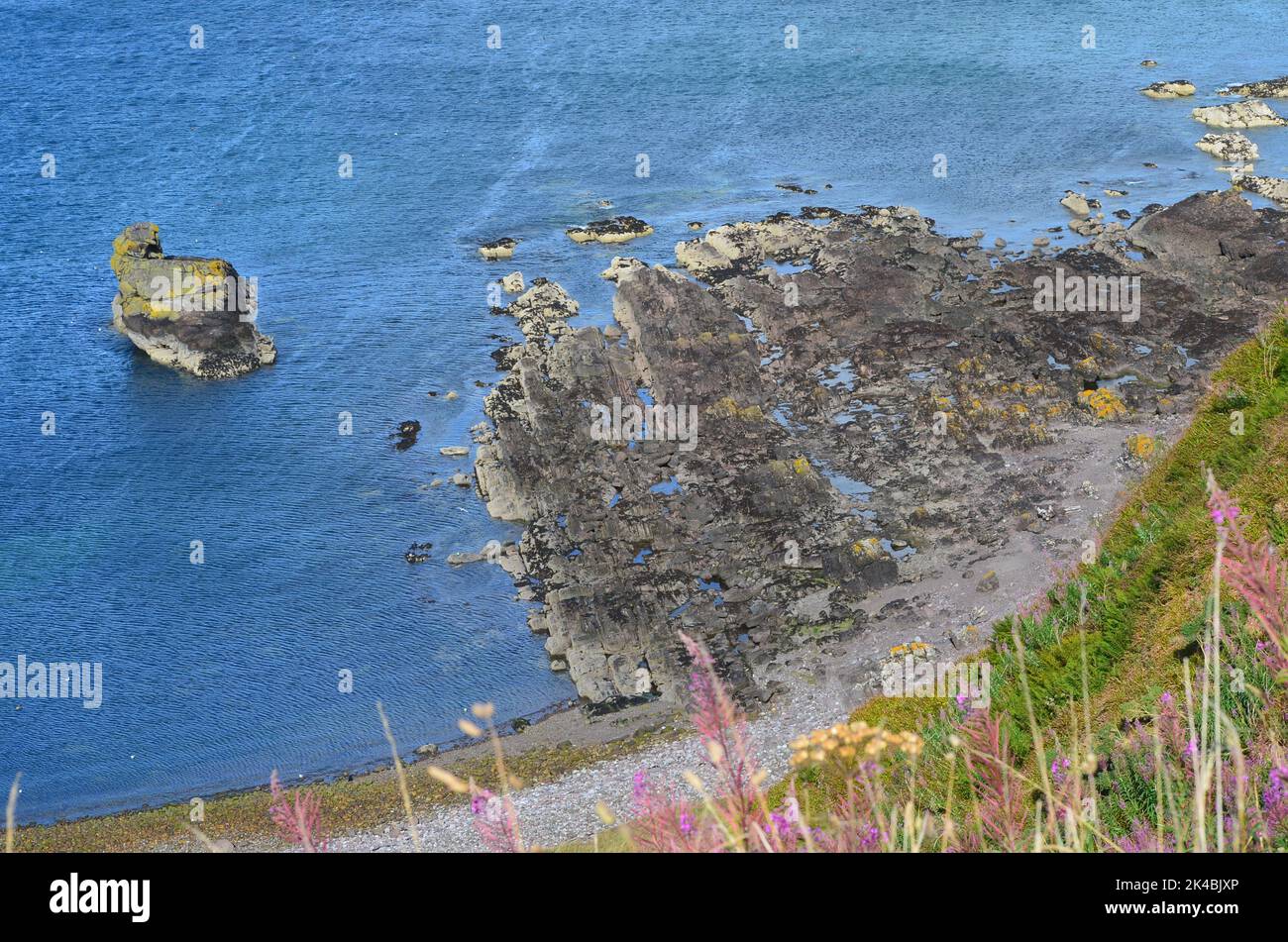 Sea cliffs along the coastal path for Dunottar Castle, Stonehaven ...
