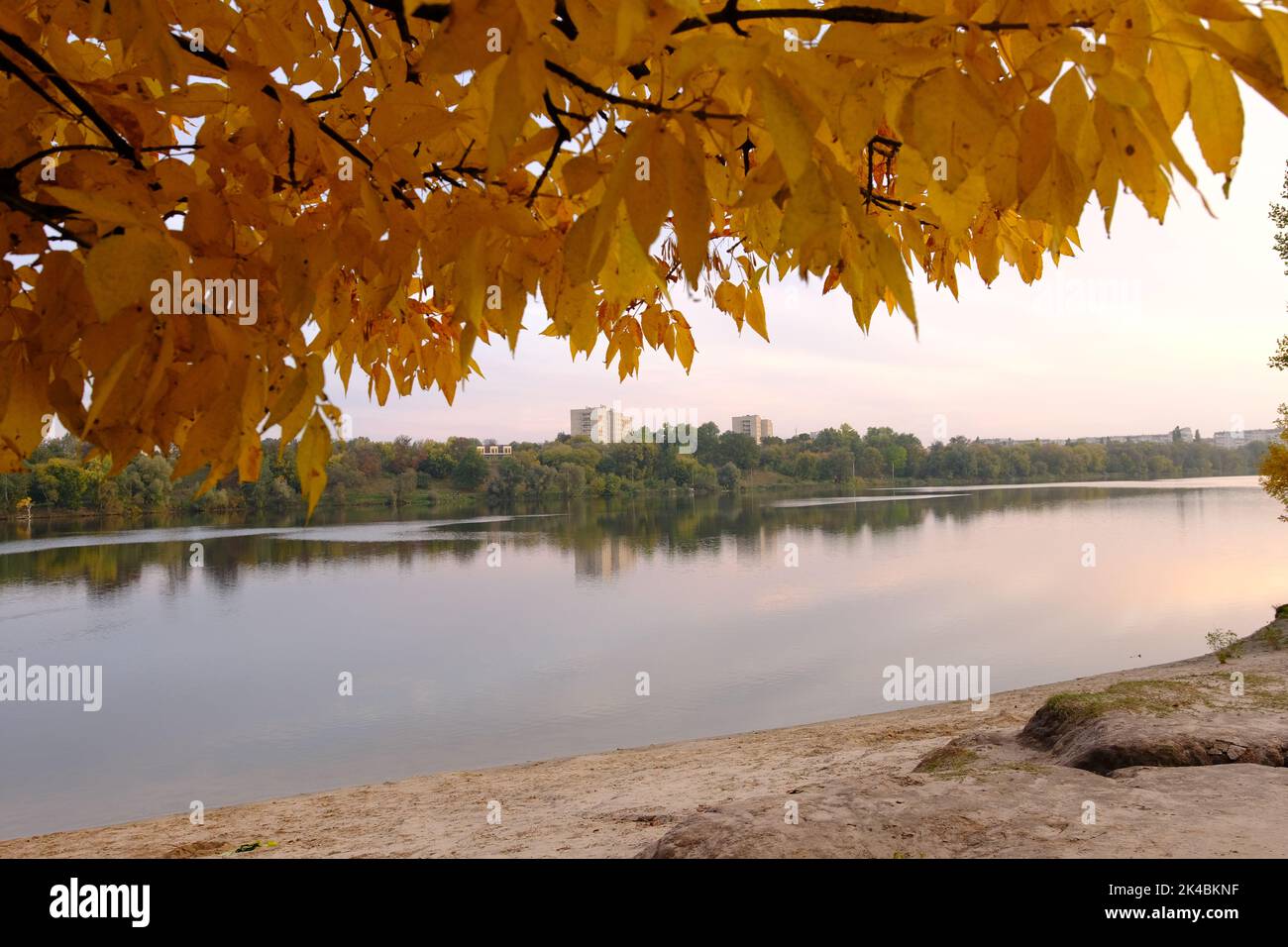 Autumn fall in park with yellow leaves trees and lake Stock Photo - Alamy