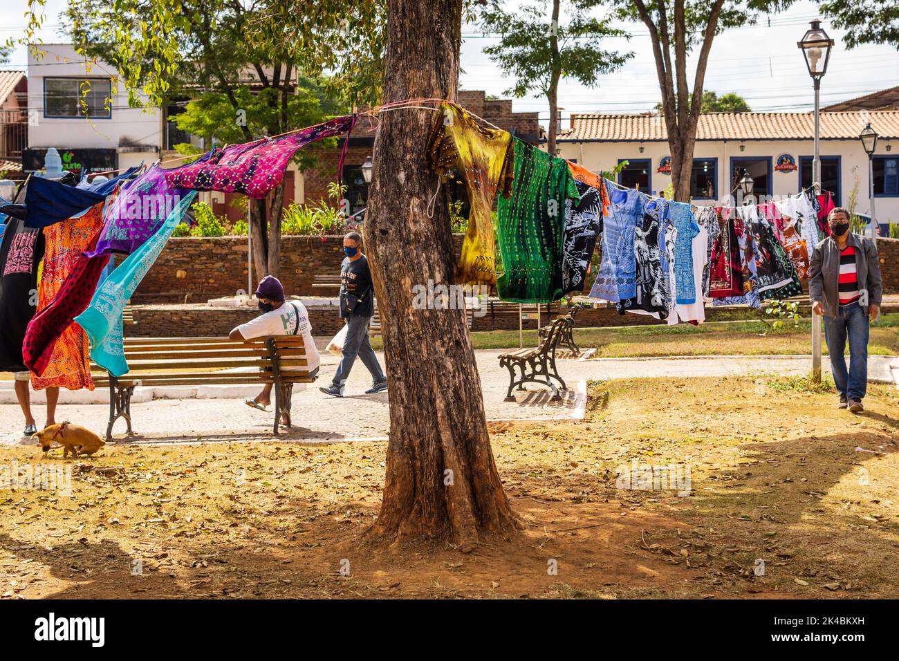 Clothing Lines For Sale at Nathan Brodzky blog