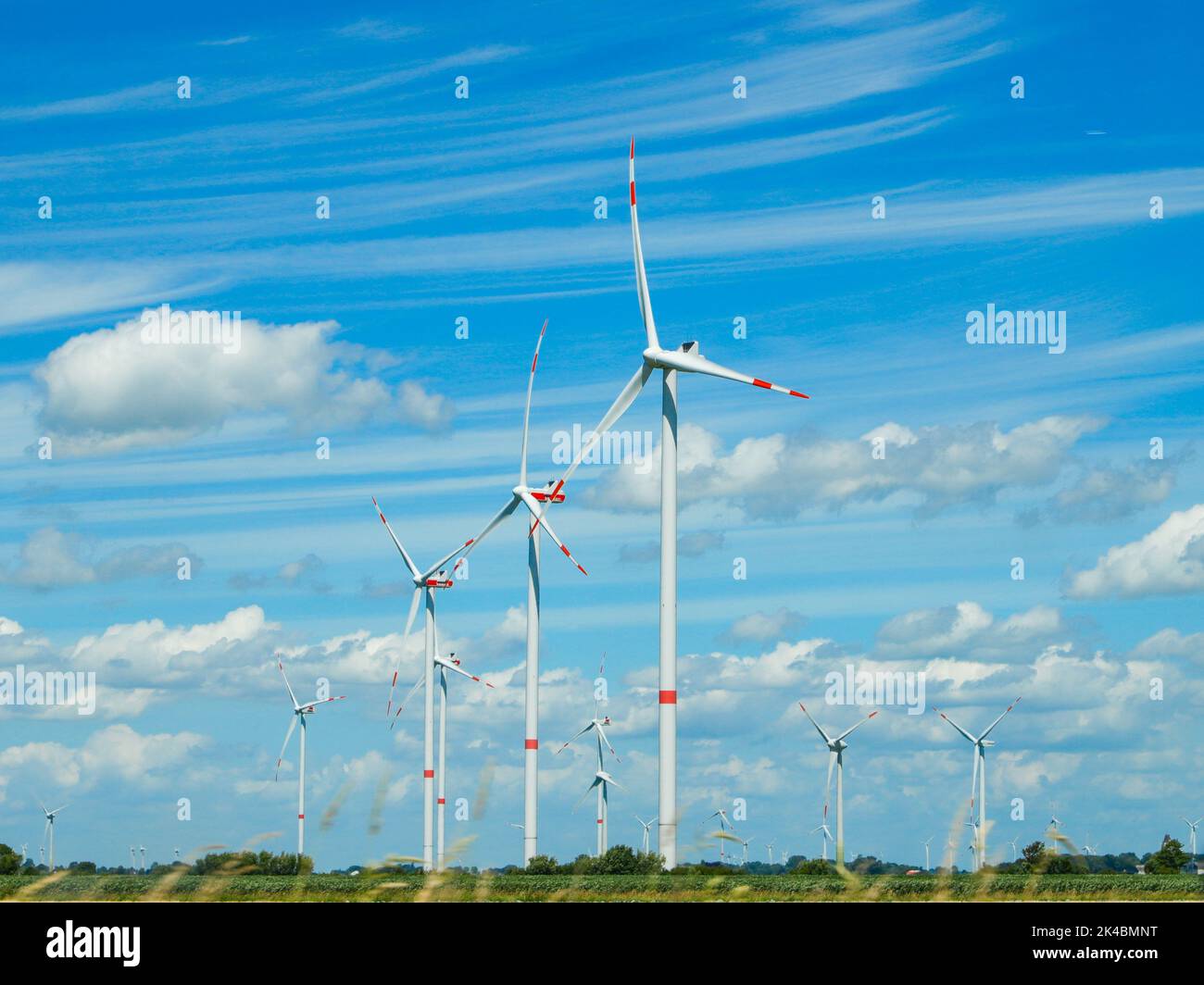 A group of wind turbines in the field against a blue clouded sky Stock ...