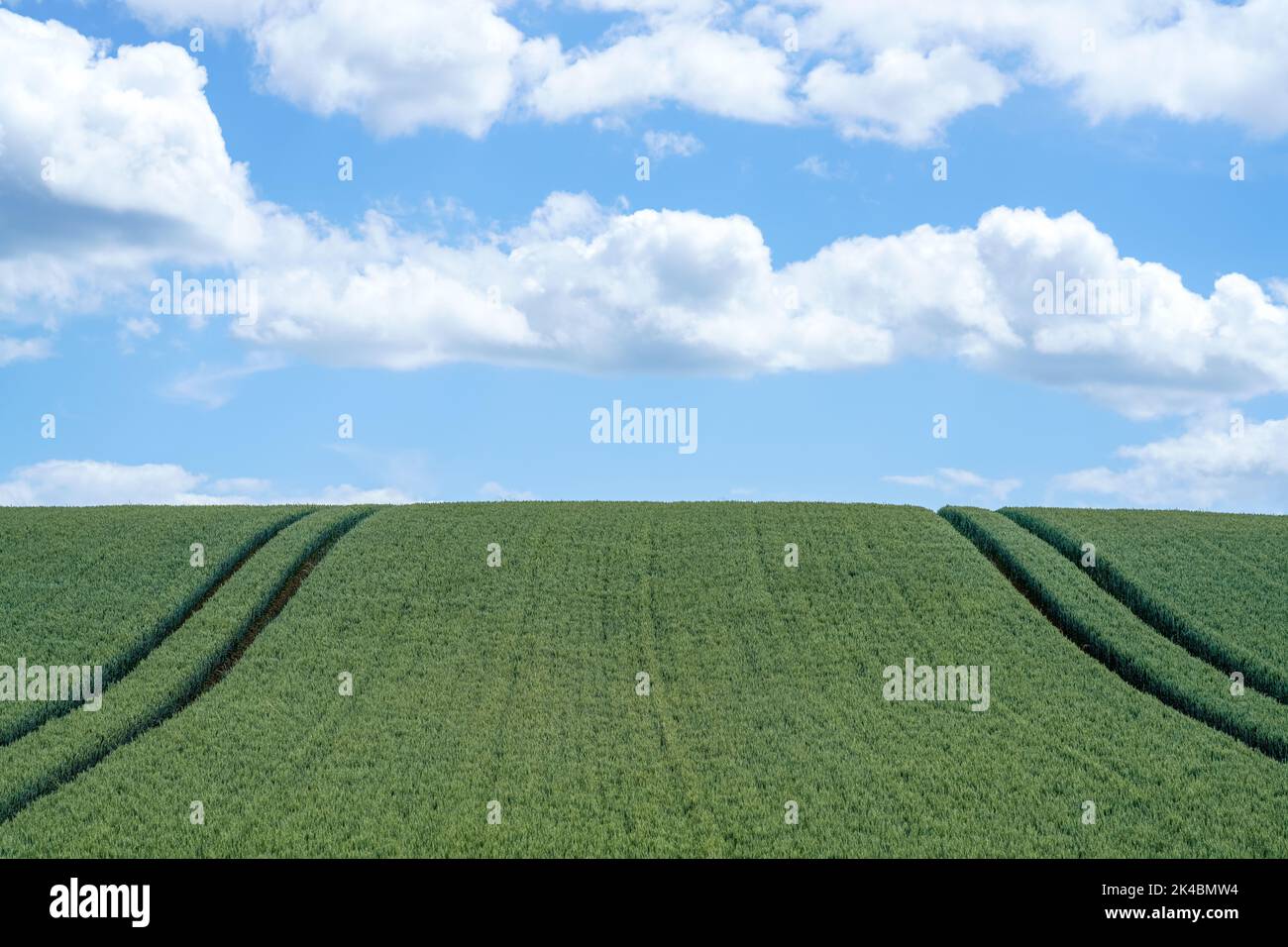 A landscape of a green field aginst a blue clouded sky Stock Photo - Alamy