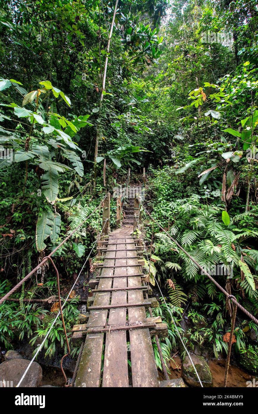 Ecuadorian bridge hi-res stock photography and images - Alamy