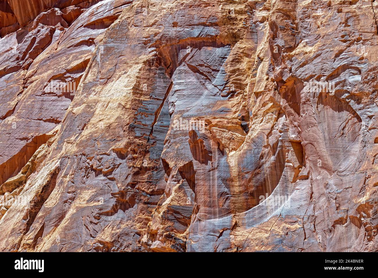 Erosion produces pattern in the rock wall near Cassidy Arch at Capitol ...
