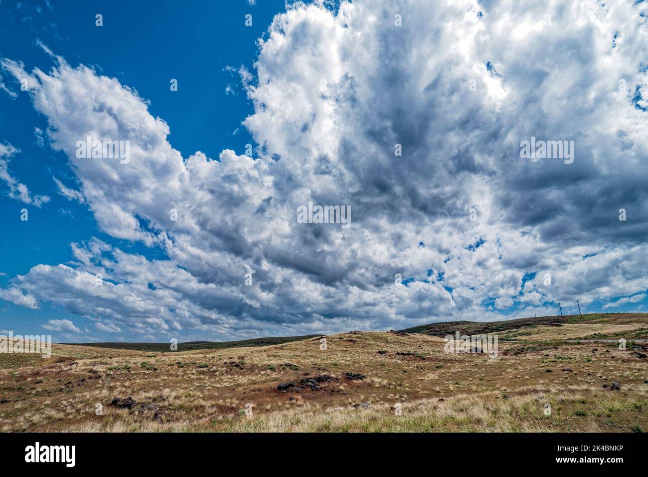 Blowing grass idaho hi-res stock photography and images - Alamy