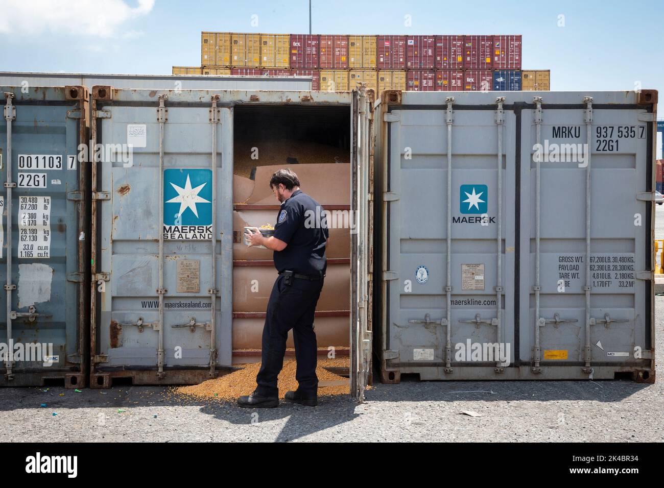 A CBP Agriculture Specialist inspects grain shipments at the Baltimore ...