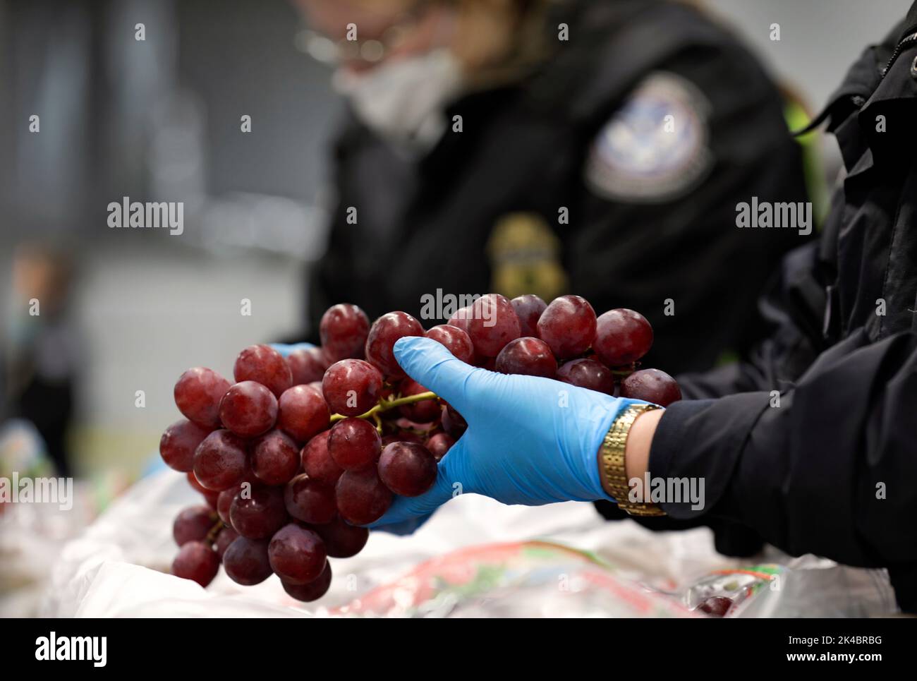 U.S. Customs and Border Protection Office of Field Operations ...