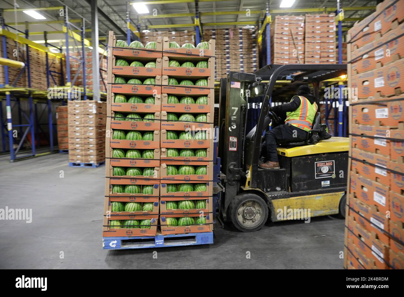 A forklift operator shuttles a pallet loaded with boxes of watermelons as fruit shipments arrive ...