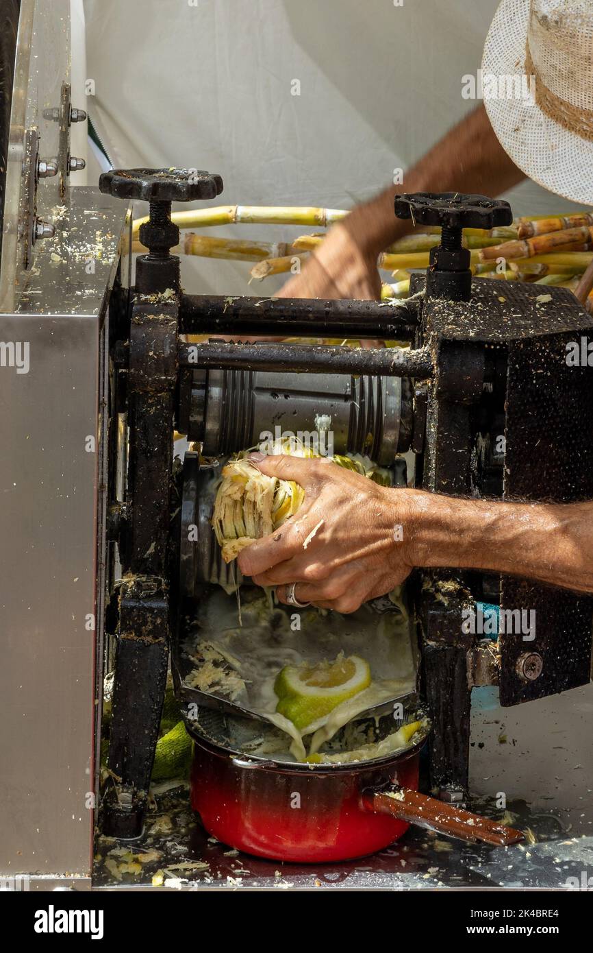 A vertical closeup shot of a man extracting cane sugar by inserting it ...