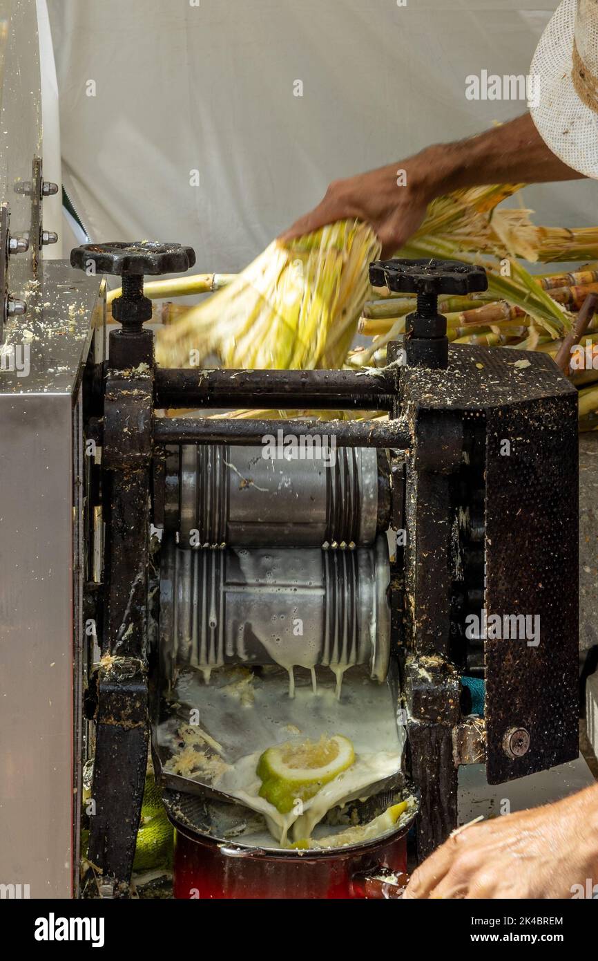 A vertical closeup shot of a man extracting cane sugar by inserting it ...