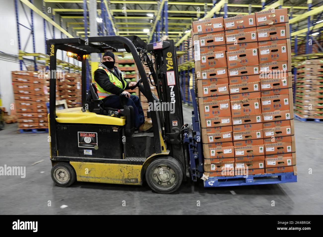A forklift operator shuttles a pallet loaded with boxes of fresh fruit ...