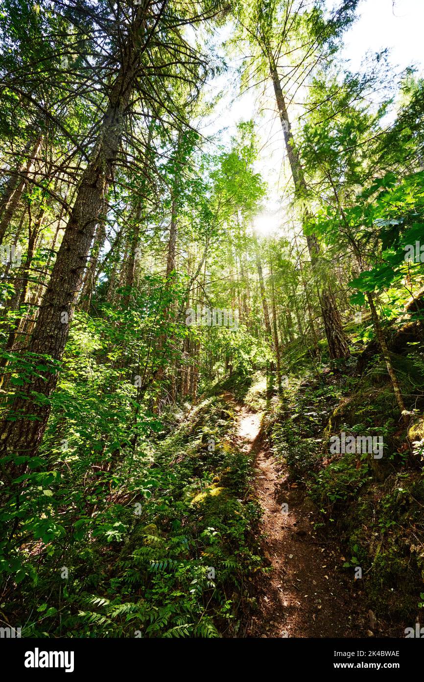 Maple Pass trail, North Cascades National Park, Washington State ...