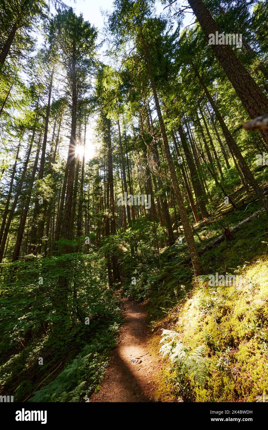 Diablo Lake Trail, North Cascades National Park, Washington State ...