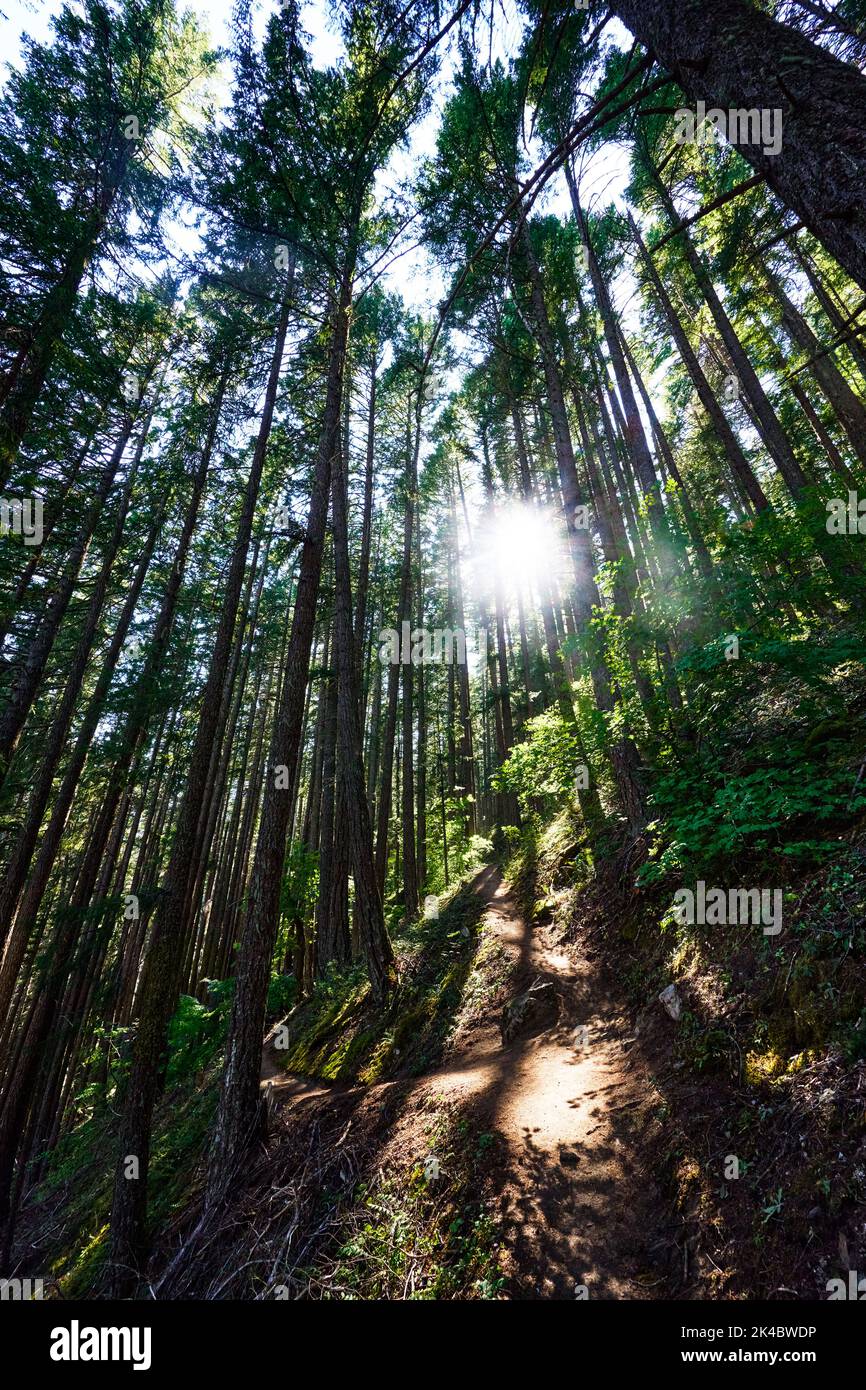 Maple Pass trail, North Cascades National Park, Washington State ...