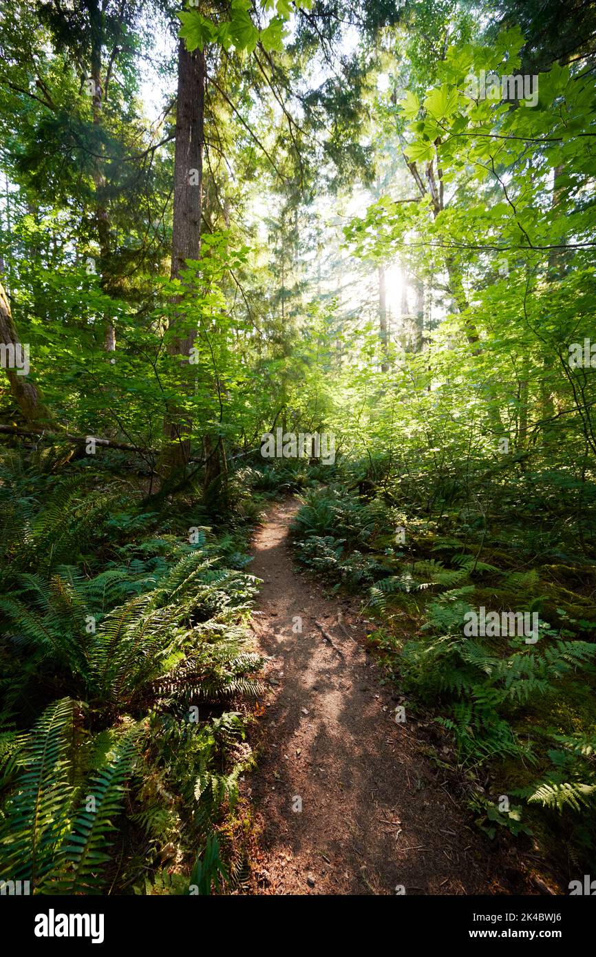Maple Pass trail, North Cascades National Park, Washington State ...
