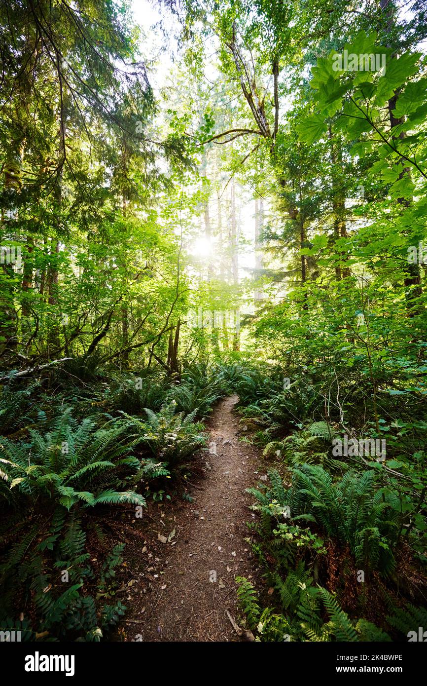 Maple Pass trail, North Cascades National Park, Washington State ...
