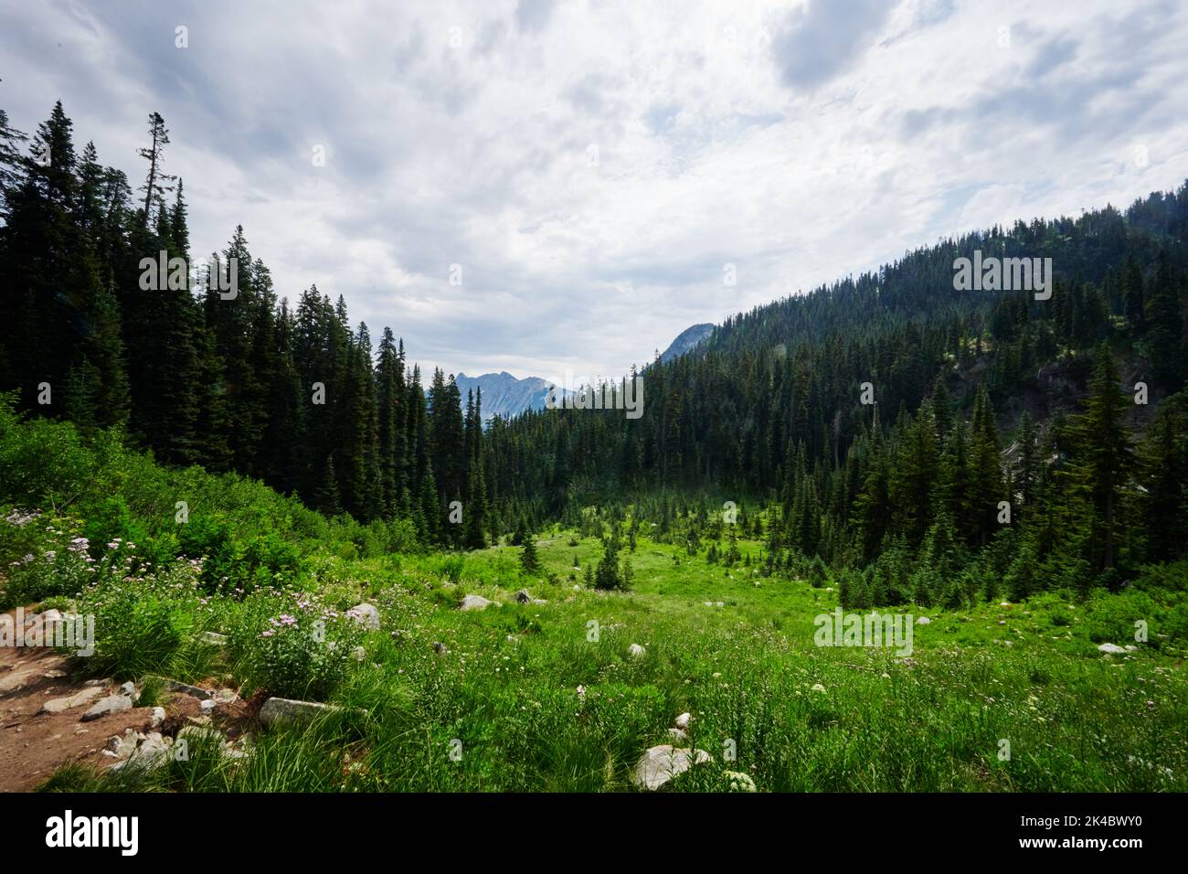 View from the peak of Maple Pass trail, North Cascades National Park ...